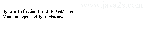C Tutorial C MethodInfo MemberType