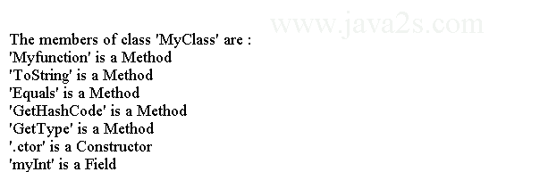 C Tutorial C TypeInfo GetMembers
